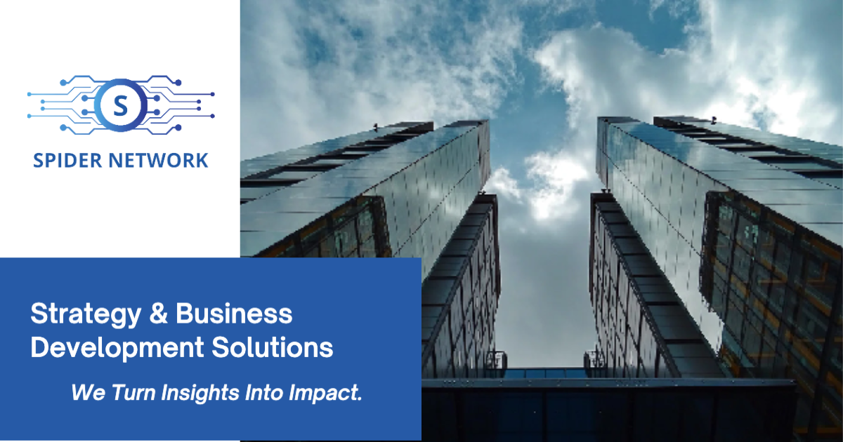 Spider Network Consulting